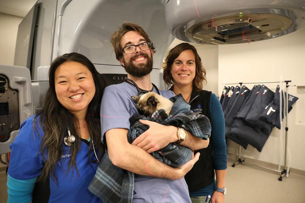 Radiation Oncology - BluePearl Pet Hospital