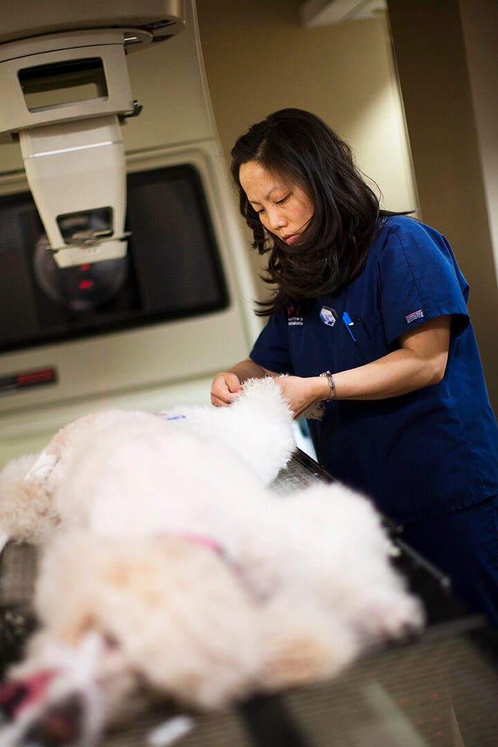 Critical Care - BluePearl Pet Hospital