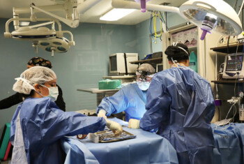 Dental Extractions in Dogs and Cats - BluePearl Pet Hospital