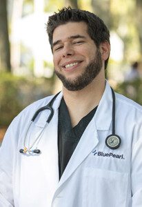 Veterinary Surgery in Tampa | BluePearl Pet Hospital Tampa FL