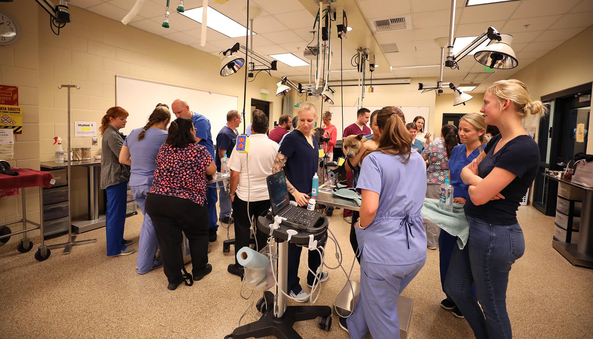 EmERge™ Training Program - BluePearl Pet Hospital