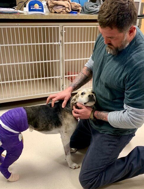 Real-Life "Lone Survivor" Rescues Injured Dog from Roadside Ditch ...