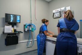 BluePearl Pet Hospital | Mt. Pleasant, SC