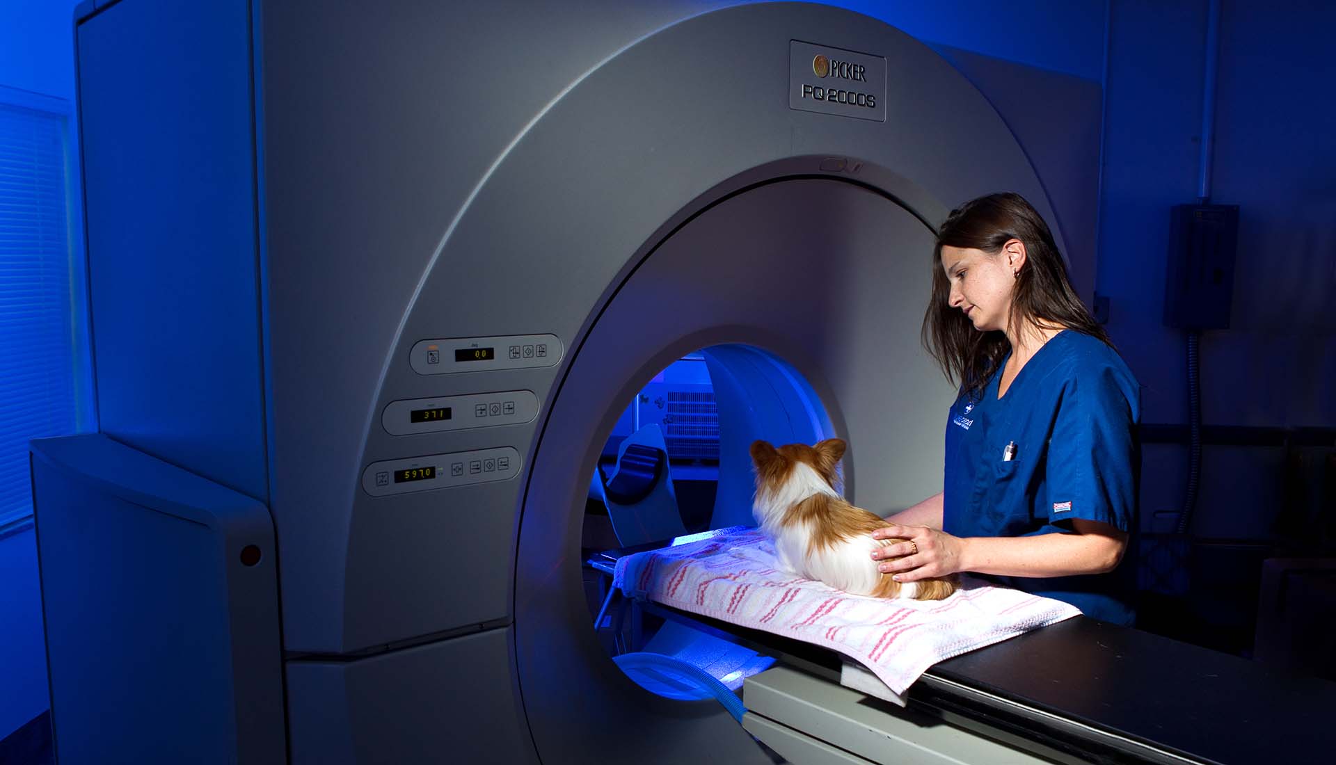 The Picture of Health - BluePearl Pet Hospital