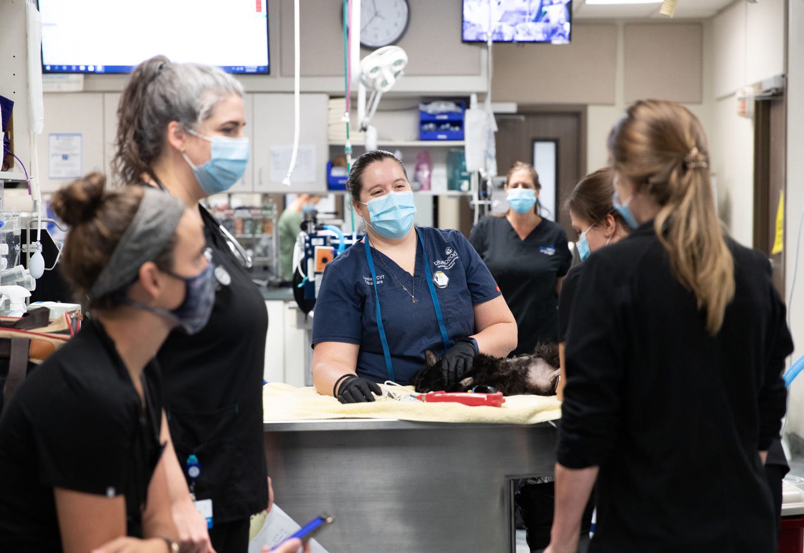 BluePearl CareerTrax Case Study by Xapify: Putting Their Best Paw ...