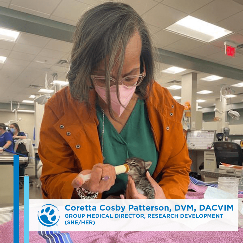 BluePearl Celebrates its Associates Amid Women’s History Month ...