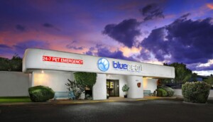 BluePearl Pet Hospital | Peoria, AZ