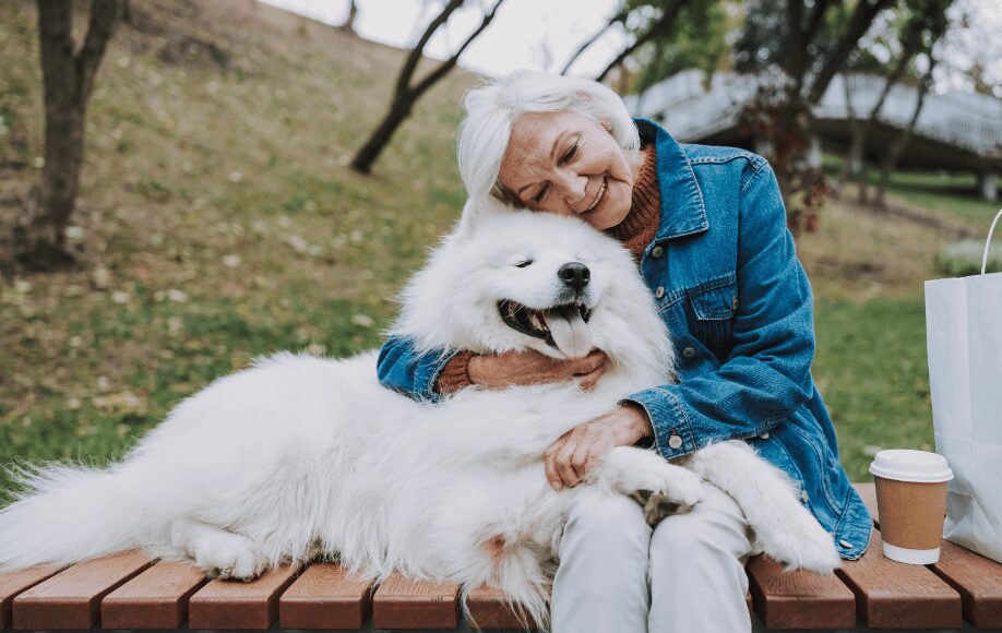 Pet Cancer Awareness Month: Early Detection Key to Successful Treatment ...