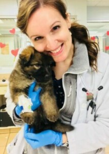 BluePearl Pet Hospital | Clearwater, FL | Our Vets