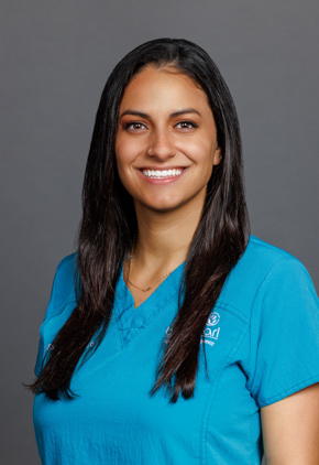 BluePearl Pet Hospital | Westside Atlanta, GA | Our Vets
