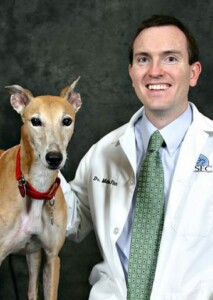 Veterinary Ophthalmology by BluePearl Pittsburgh PA