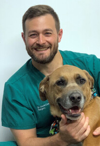 BluePearl Pet Hospital | Monroeville, PA | Our Vets