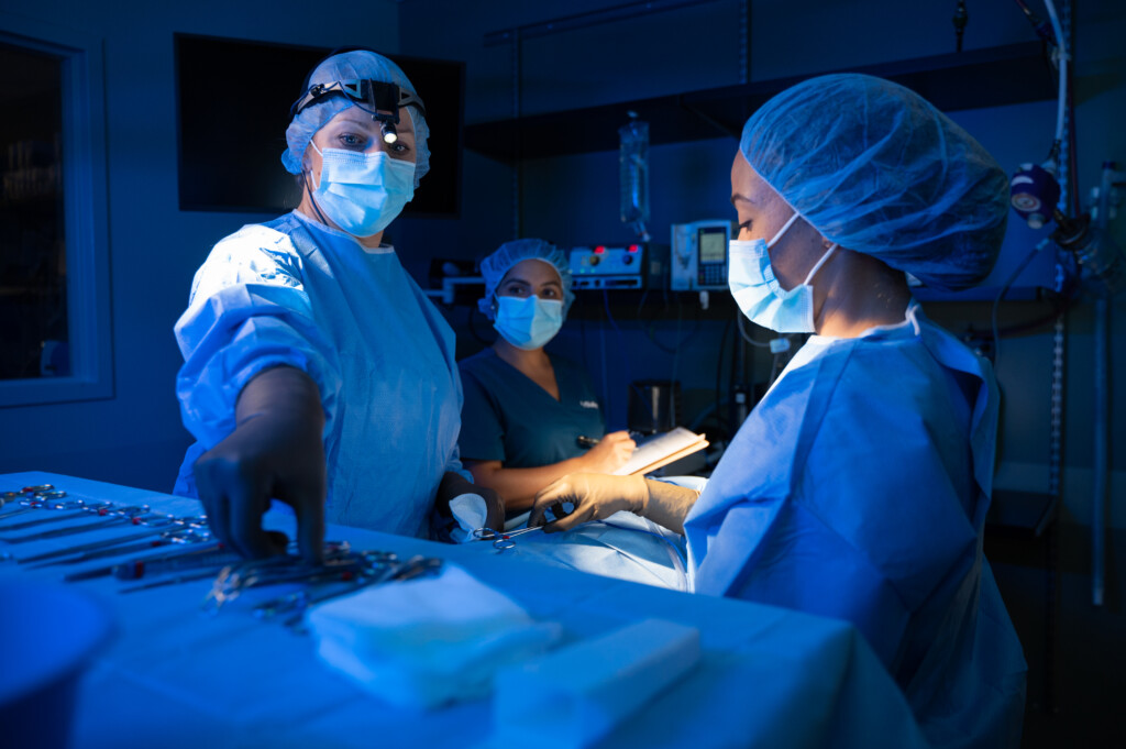 A Step in the Right Direction - BluePearl Pet Hospital