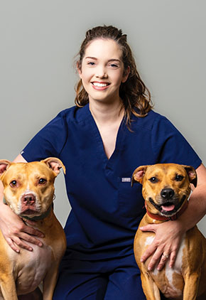 BluePearl Pet Hospital | Tacoma, Lakewood, WA | Our Vets