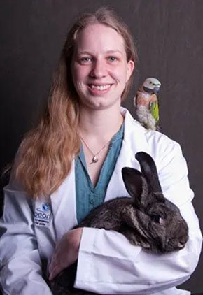 BluePearl Pet Hospital | Tacoma, Lakewood, WA | Our Vets