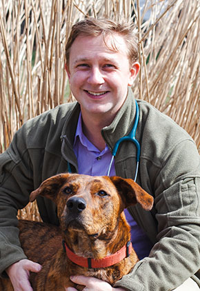 BluePearl Pet Hospital | Tampa, FL | Our Vets