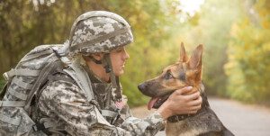 Emergency Vet & Specialty Animal Hospitals - BluePearl Pet Hospital