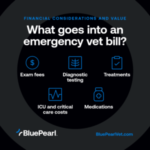 What to Expect: Your Pet’s Emergency Vet Bill - BluePearl Pet Hospital