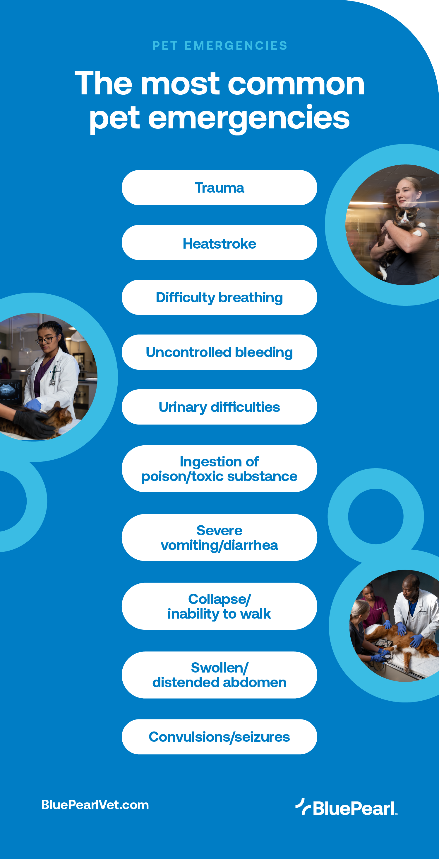 Your Complete Guide to Navigating Pet Emergencies - BluePearl Pet Hospital