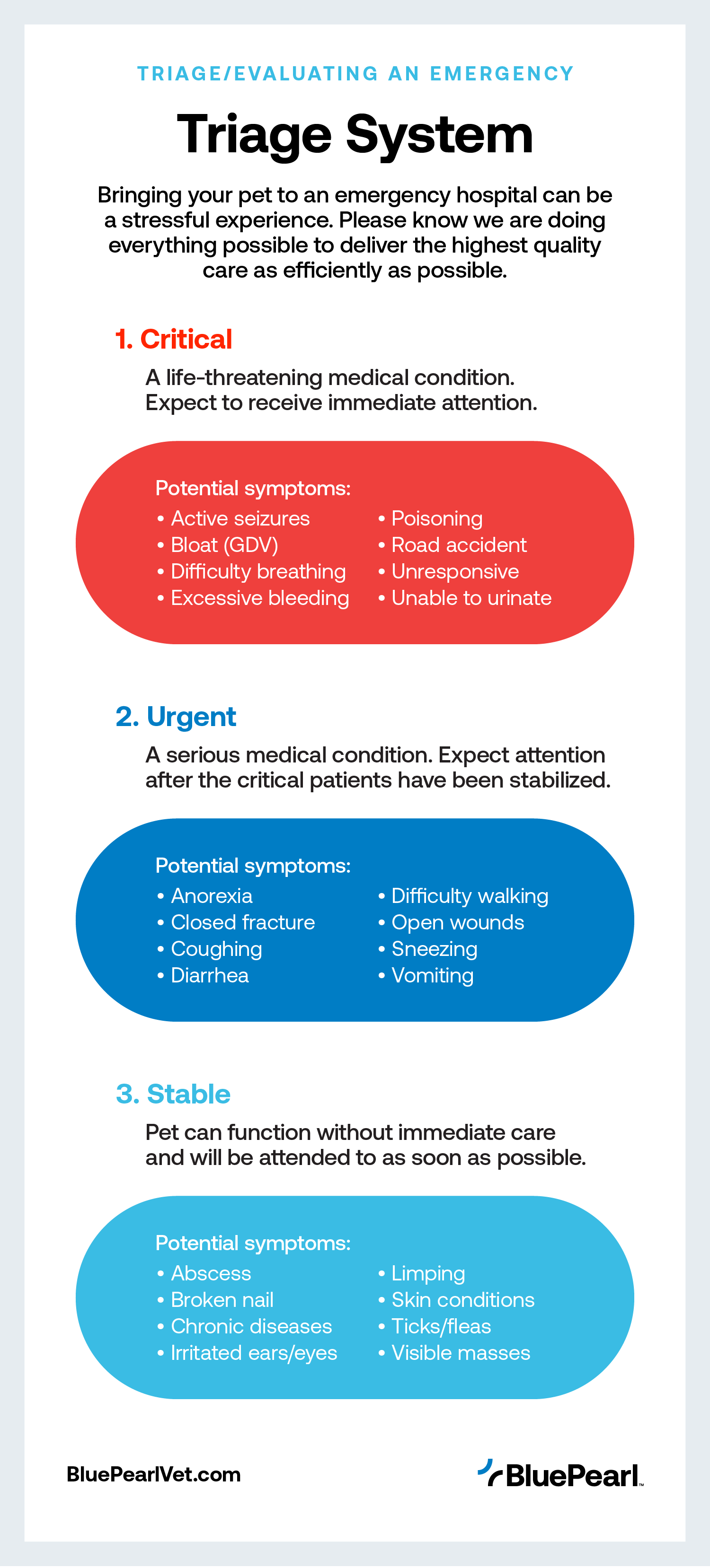 Triage at the Emergency Vet: Understanding Your Pet's Wait Time ...