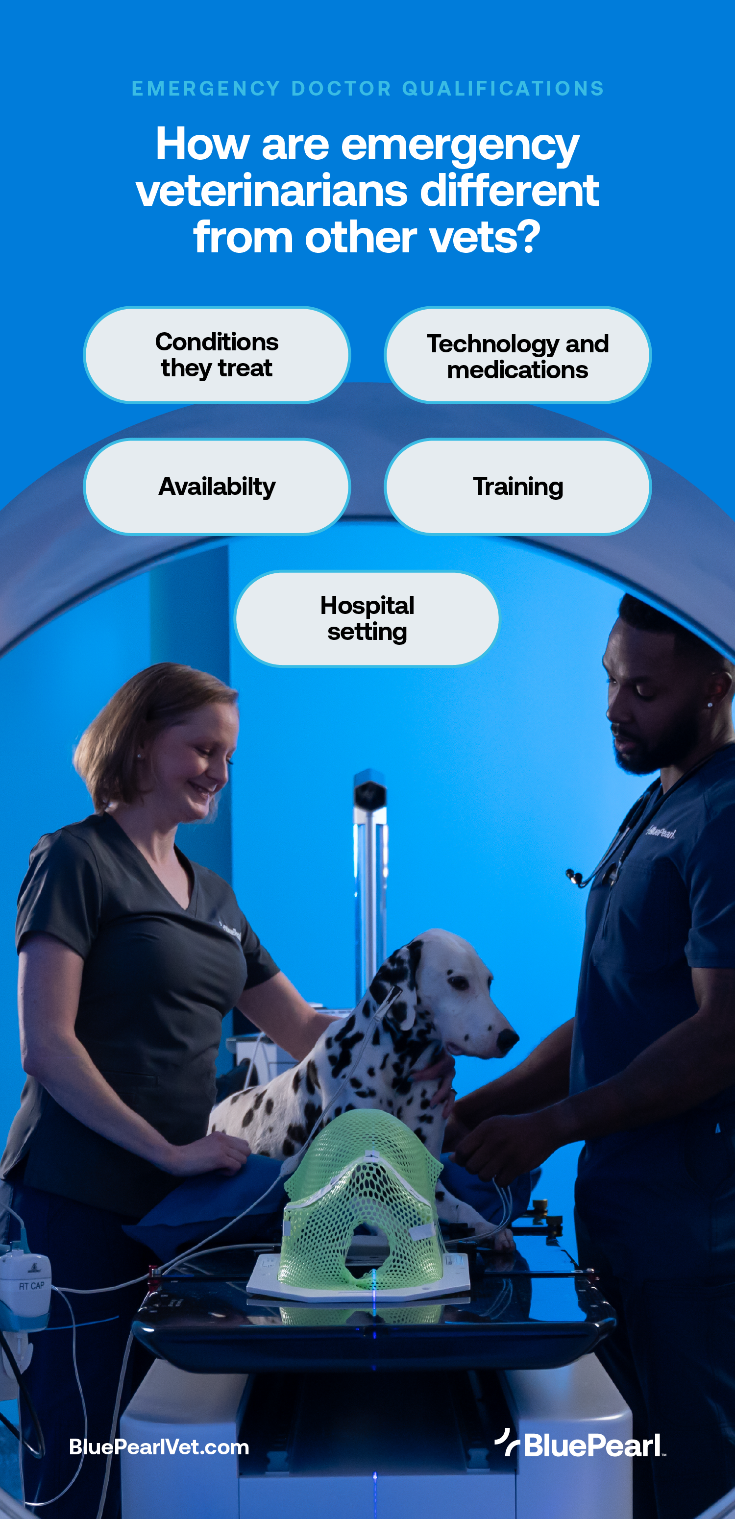 Emergency Veterinarians: How Can They Help Your Pet? - BluePearl Pet ...