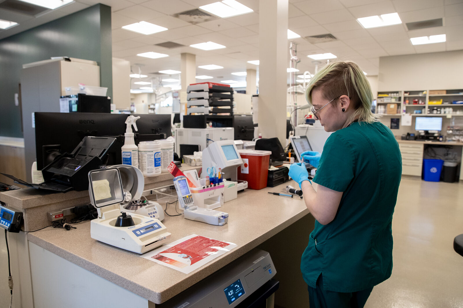 What’s Wrong with My Pet? The 10 Most Common Pet Emergencies and ...