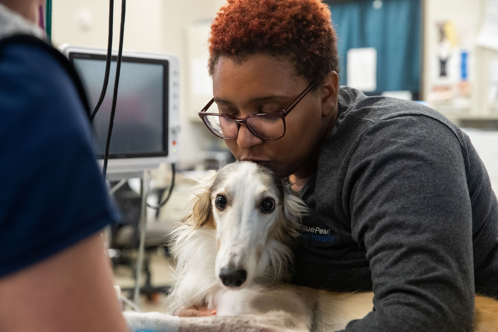 When Seconds Count: All About Veterinary Critical Care and the ICU ...