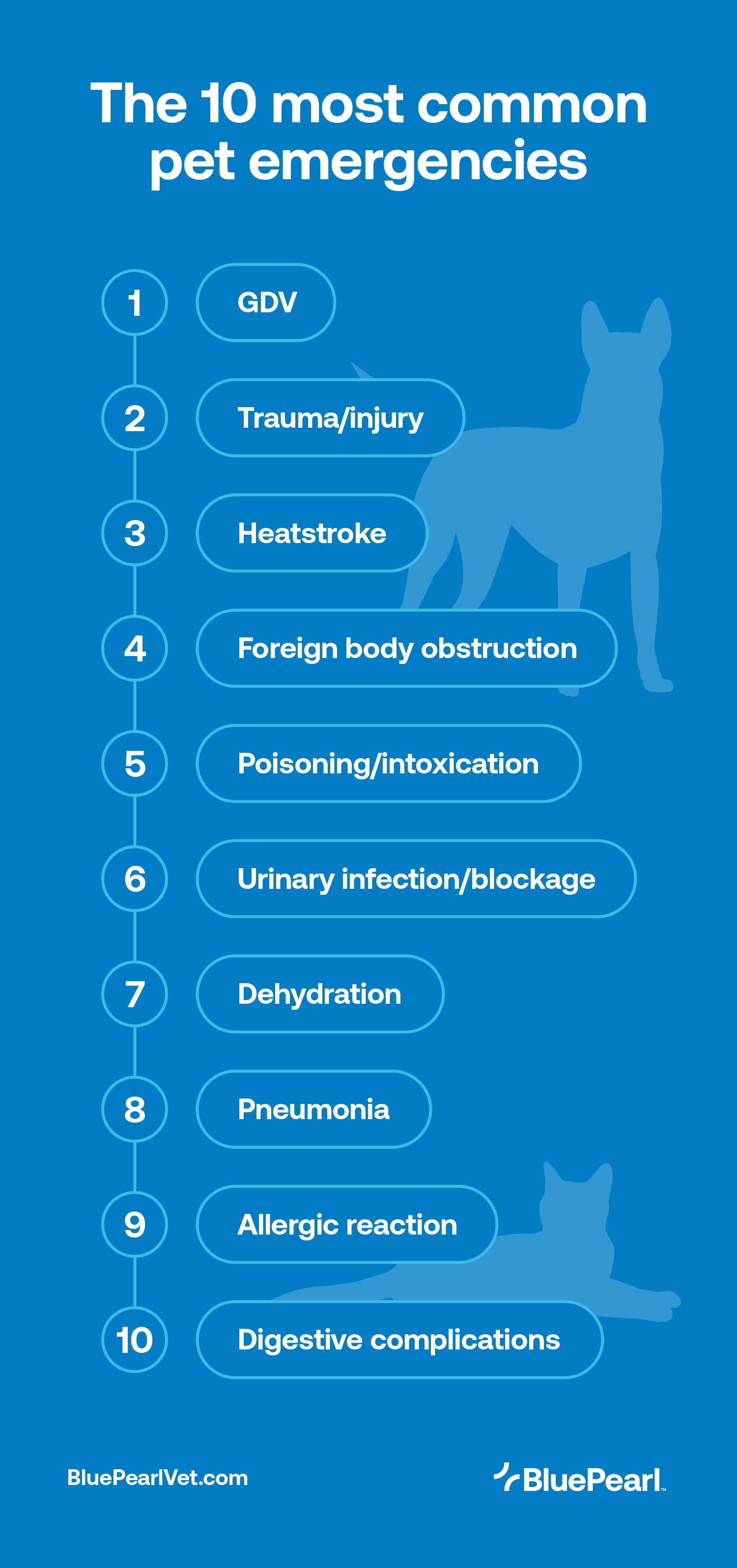 What’s Wrong with My Pet? The 10 Most Common Pet Emergencies and ...