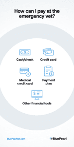 What If I Can’t Afford My Emergency Vet Bill? - BluePearl Pet Hospital