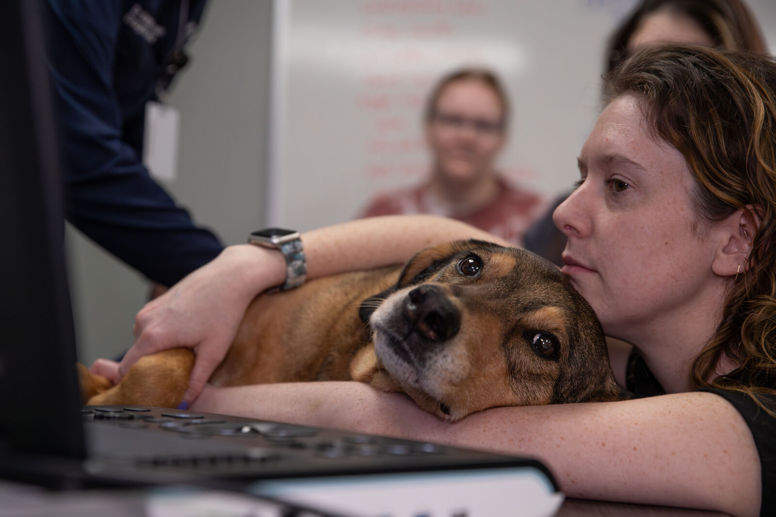 When Seconds Count: All About Veterinary Critical Care and the ICU ...