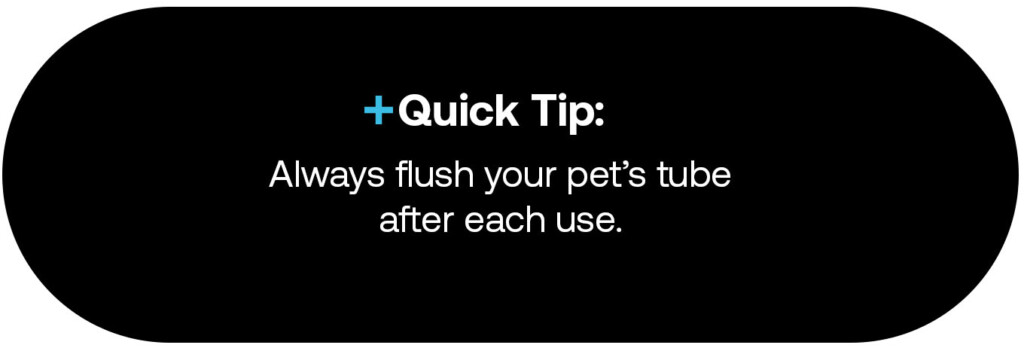 How to Feed Your Pet Using a Feeding Tube At Home | How to Videos ...