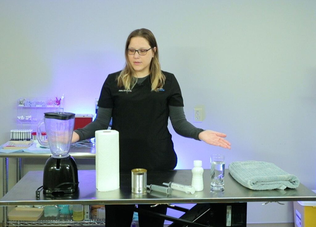 How to Feed Your Pet Using a Feeding Tube At Home | How to Videos ...