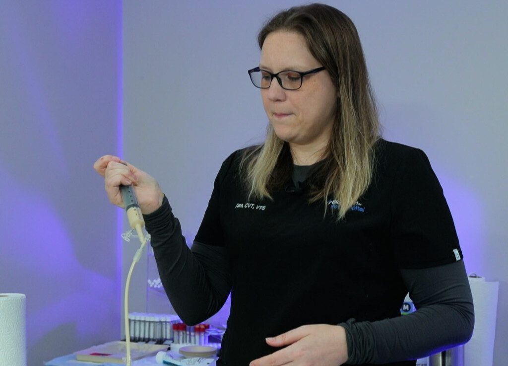 How to Feed Your Pet Using a Feeding Tube At Home | How to Videos ...