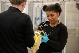 Why BluePearl - BluePearl Pet Hospital