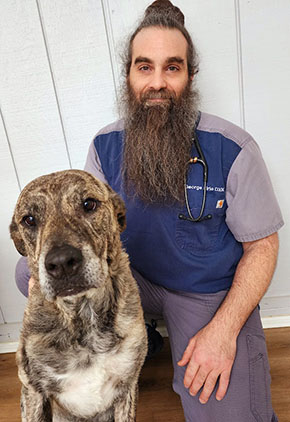 BluePearl Pet Hospital | Olympia, WA | Our Vets