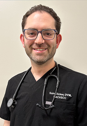 BluePearl Pet Hospital | Paramus, NJ | Our Vets