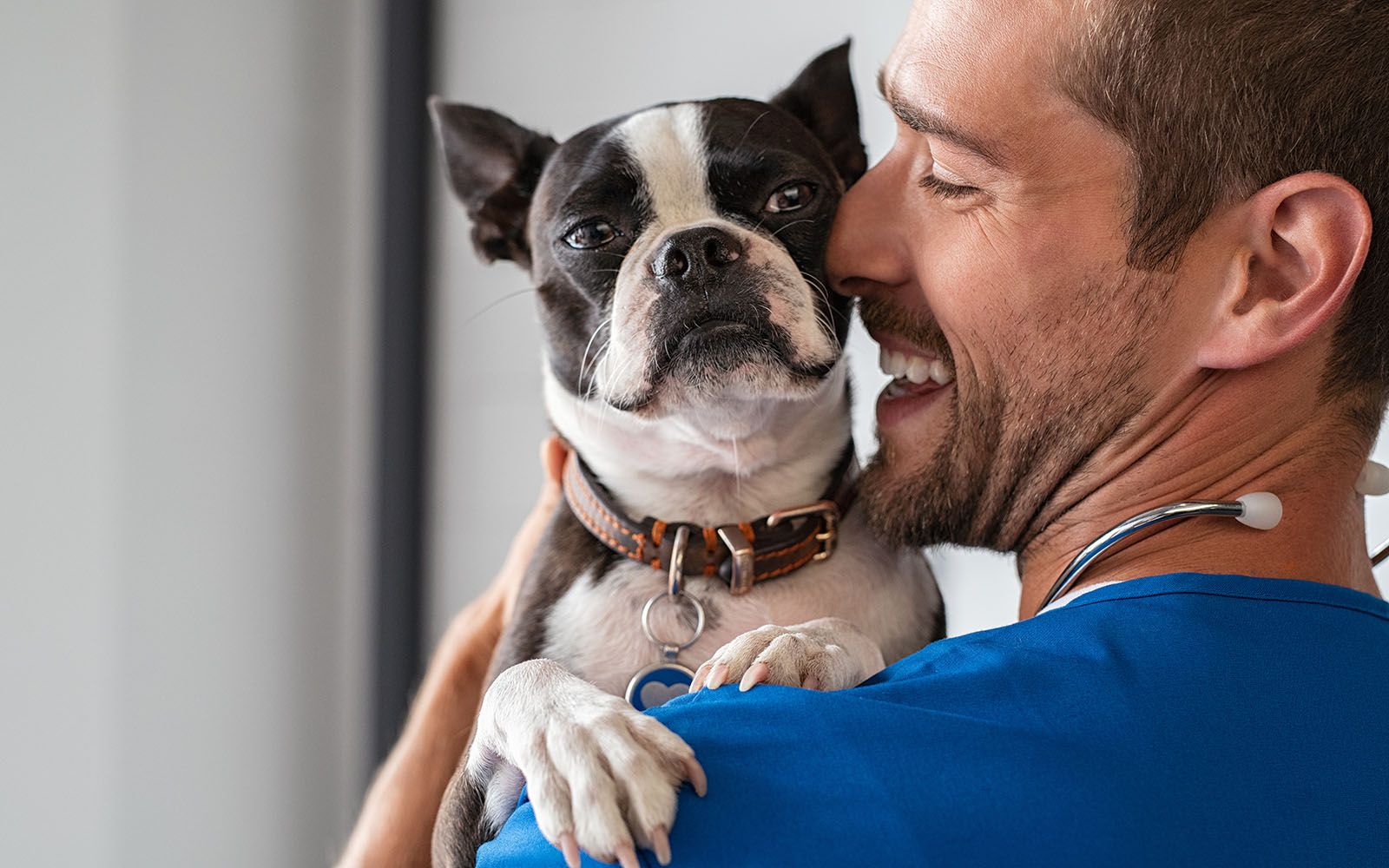 Veterinary Cardiologist Referral Monterey | What to Expect | BluePearl