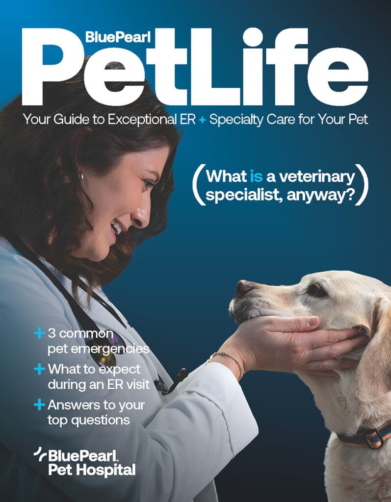 BluePearl PetLife - BluePearl Pet Hospital