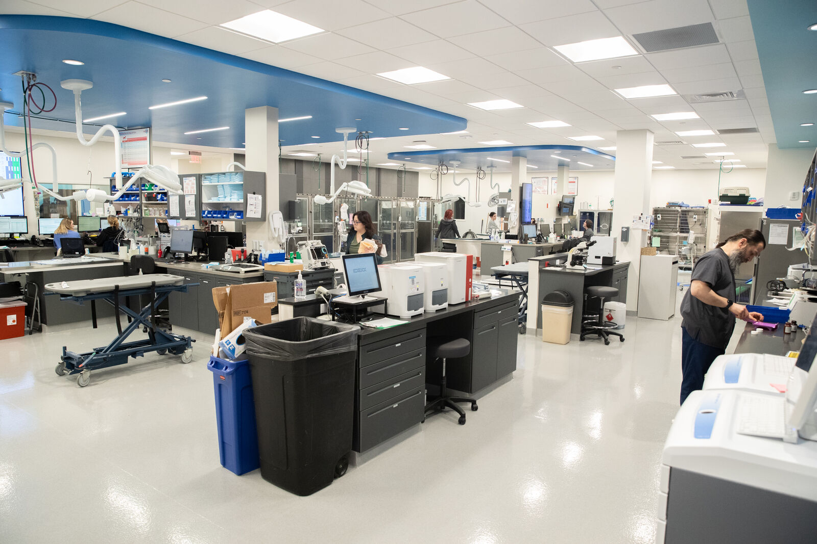 What Happens at a 24-Hour Animal ER in Irvine | BluePearl Pet Hospital