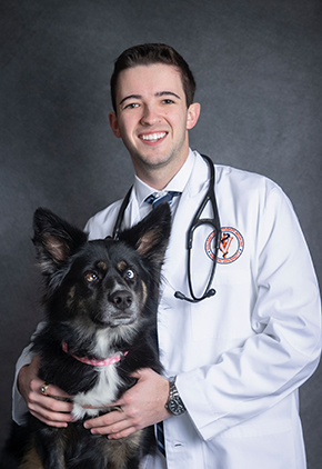 BluePearl Pet Hospital | Sandy Springs, GA | Our Vets