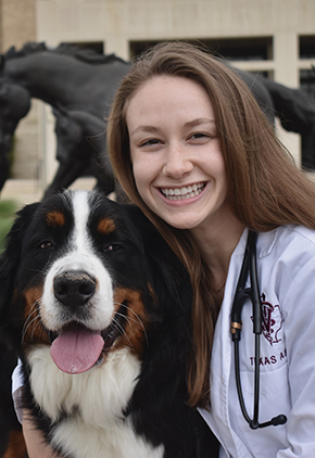 BluePearl Pet Hospital Pittsburgh North | Pittsburgh, PA | Our Vets