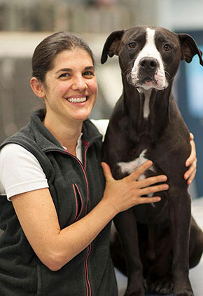 Veterinary Internal Medicine by BluePearl Seattle WA